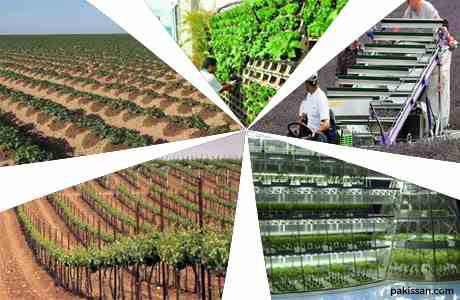 The Netherlands: Frugal, Innovative Farming | GPI Blog